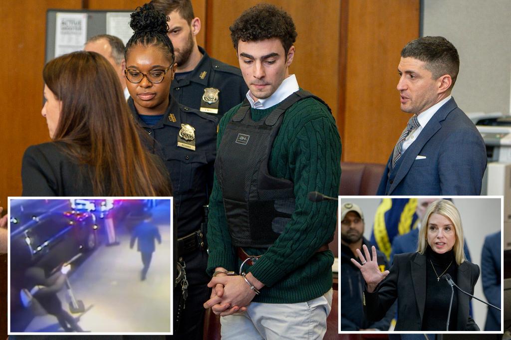 Call for Justice: Luigi Mangione's Cold-Blooded Assassination of ...